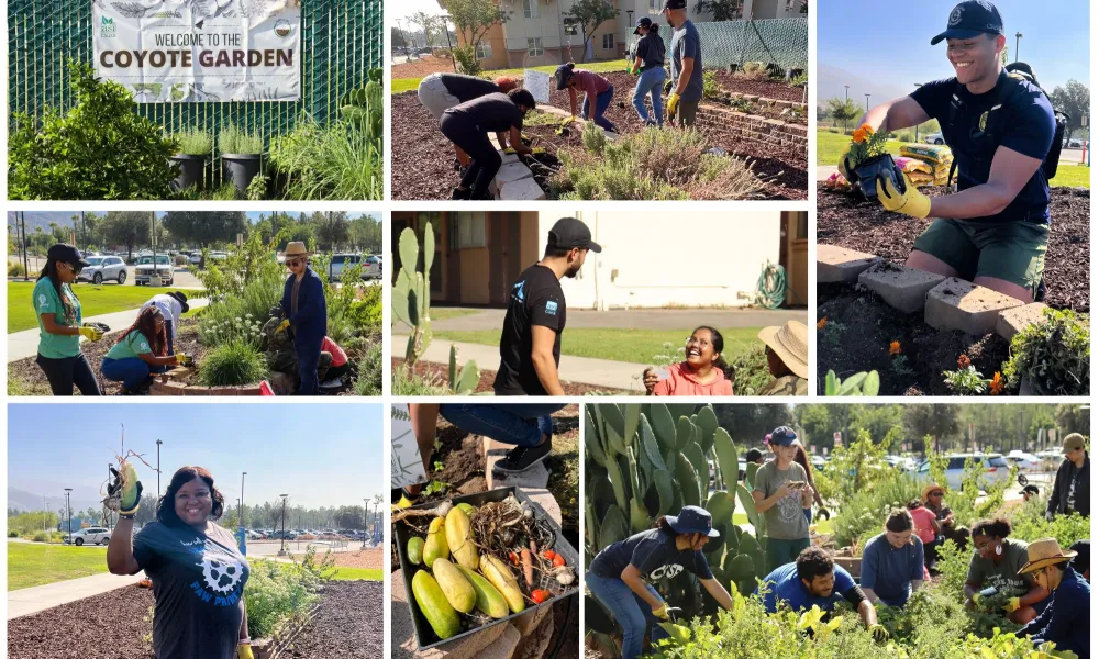 Photo Events Gallery | Community Engaged Learning | CSUSB